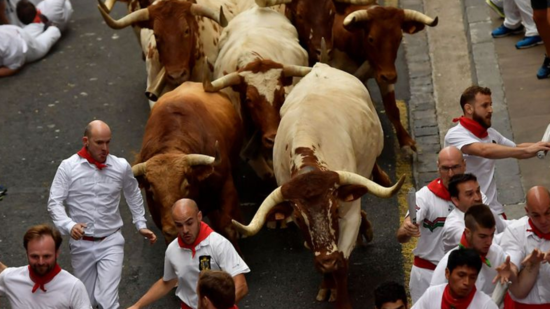 31 famous cultural festivals in Europe that will Up the Fun Factor of ...